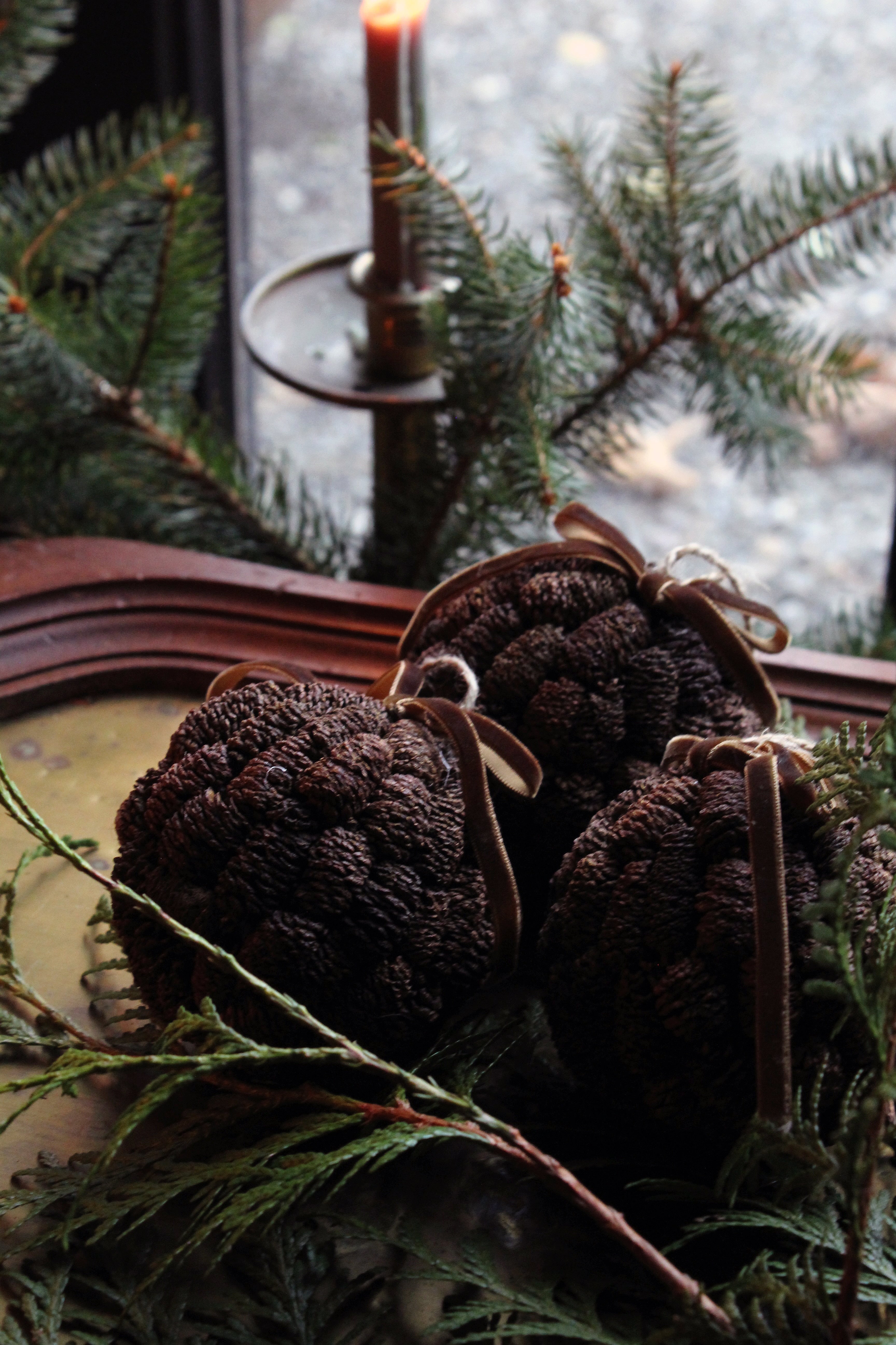ALDER CONE BALL – HORT AND POTT